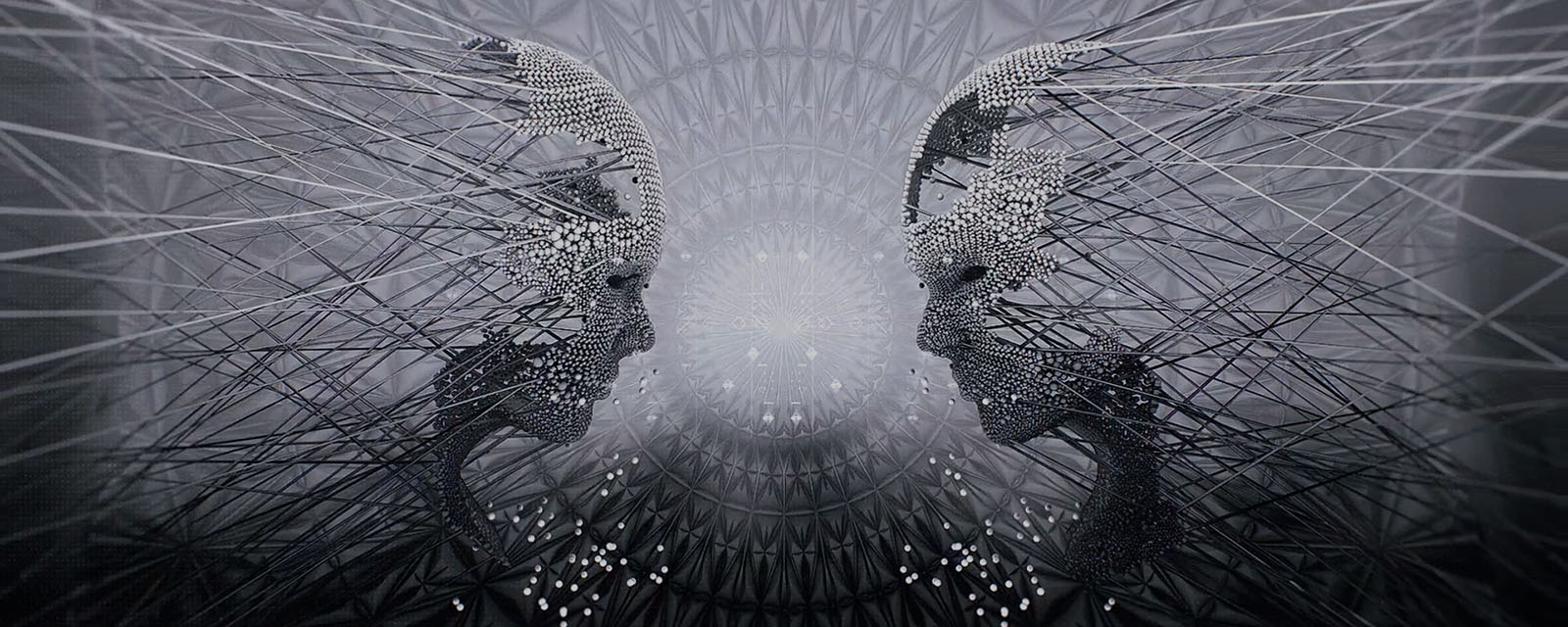 Division & Unity - Territory Studio