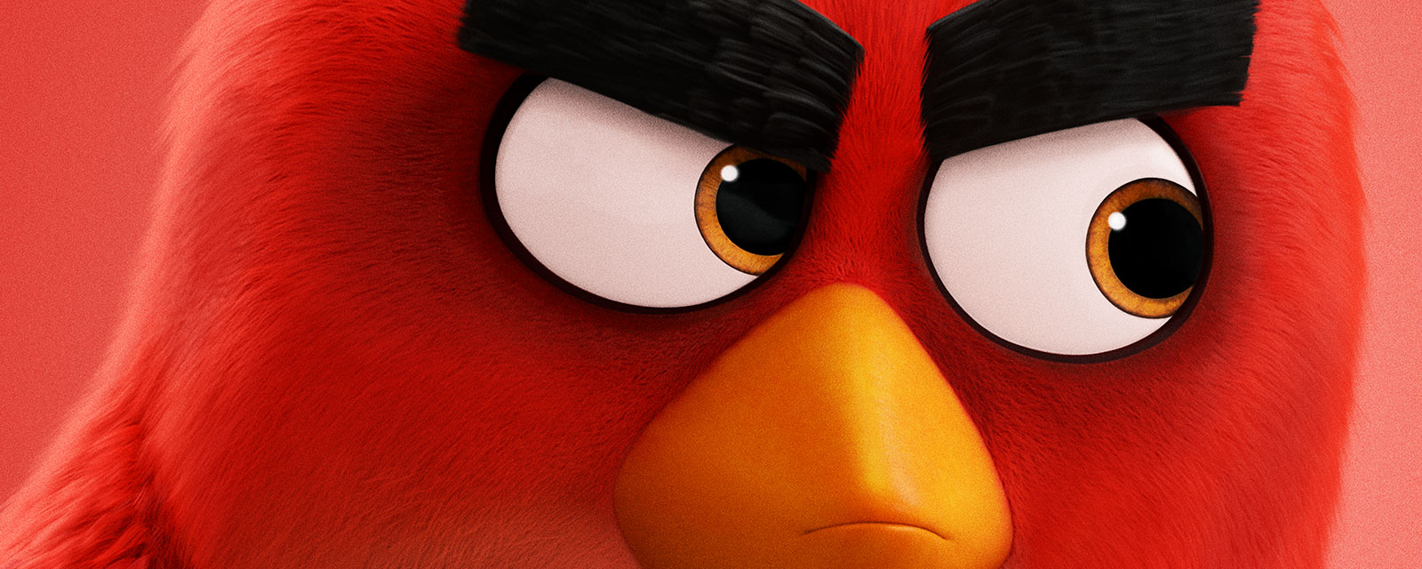 Angry Birds - Territory Studio