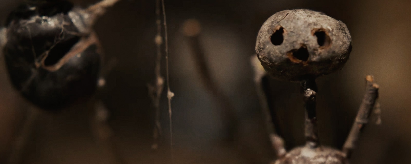 The Chestnut Man - Territory Studio