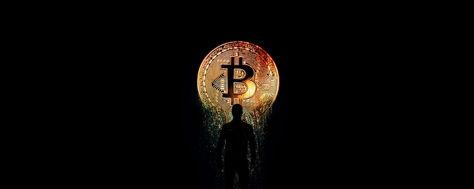 Trust No One: The Hunt For The Crypto King - Territory Studio