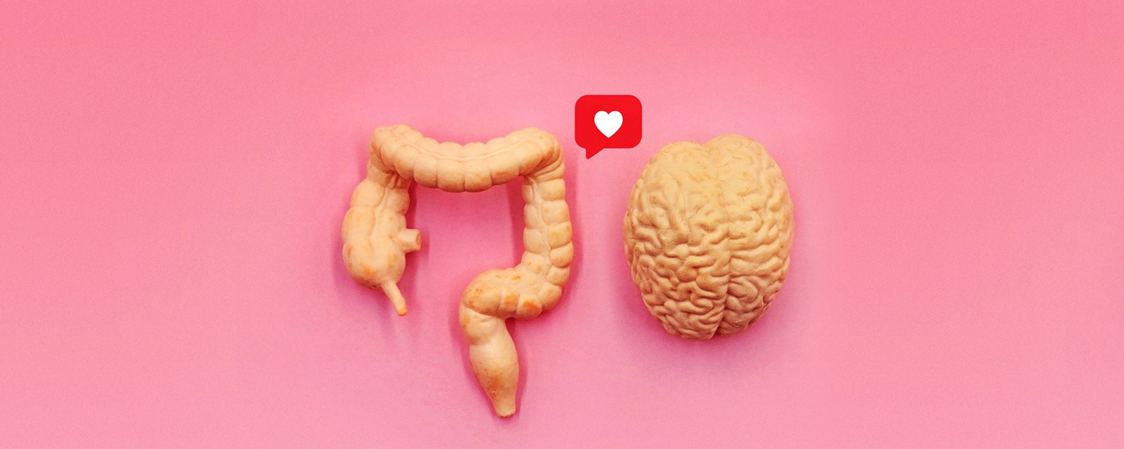 Hack Your Health: The Secrets of Your Gut - Territory Studio