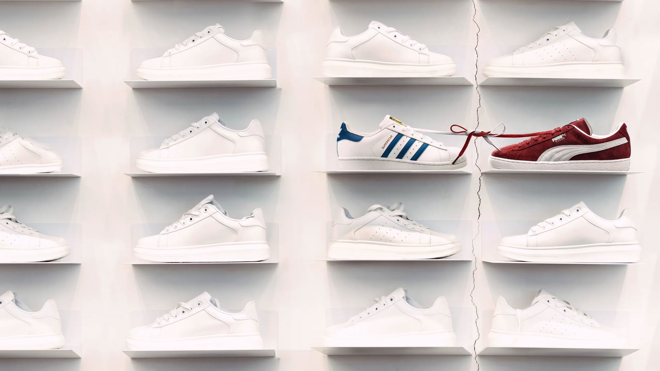 Sneaker Wars:Adidas v Puma - Territory Studio